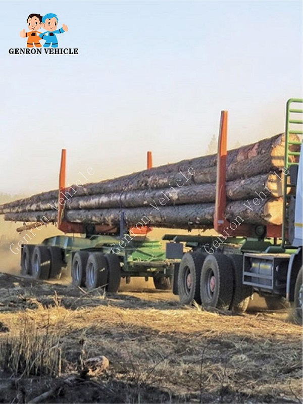 Trees Transport Big Capacity 60T Log Loader Trailer With Crane in Tractor